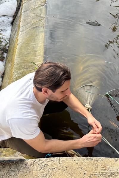 Silver European eel discovered in Cyprus for the first time ...
